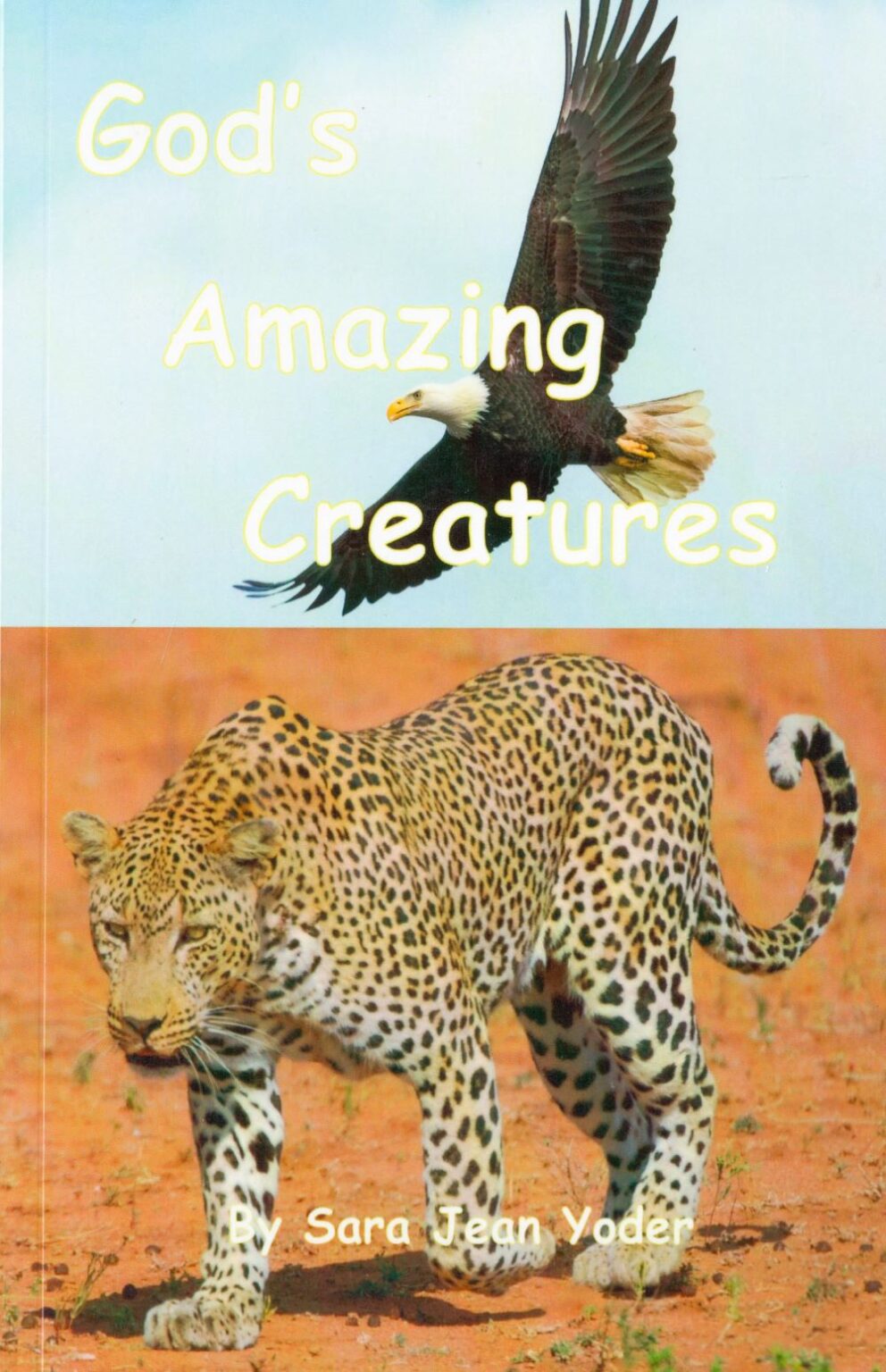 God's Amazing Creatures - Ridgeway Books