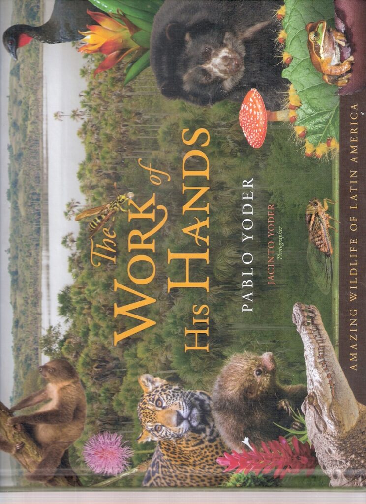 The Work of His Hands - Ridgeway Books